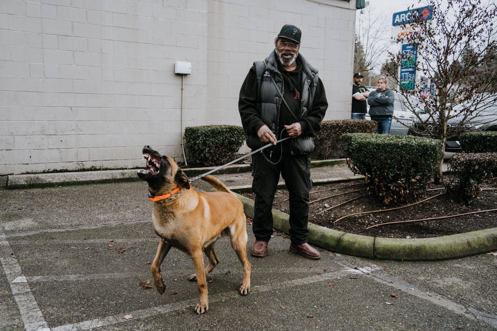 Expert Dog Training Service | Bob Smith's K9
